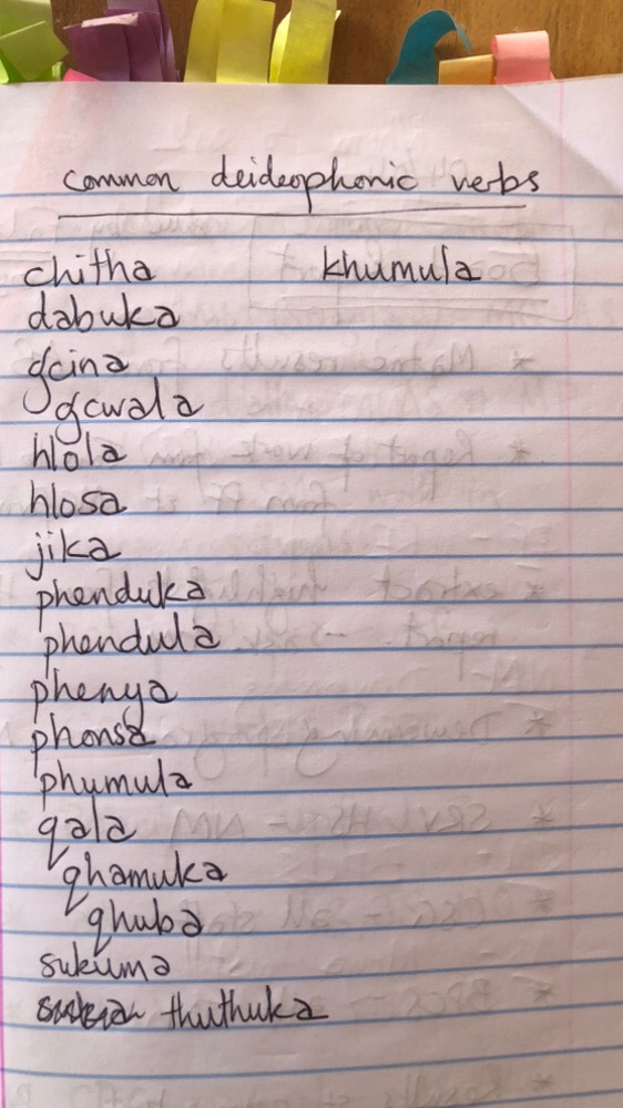 5303900080 – uMabhengwane